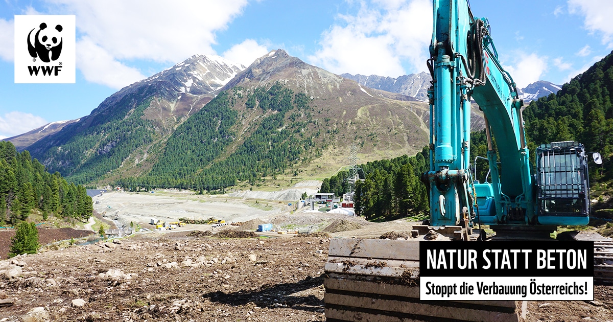 Natur statt Beton - Das Problem - Natur statt Beton